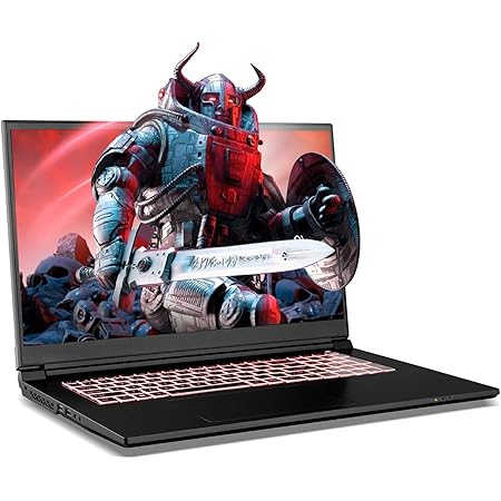 Amazon.com: Sager 2023 NP6271J Gaming Laptop, 17.3 Inch FHD 144Hz ...