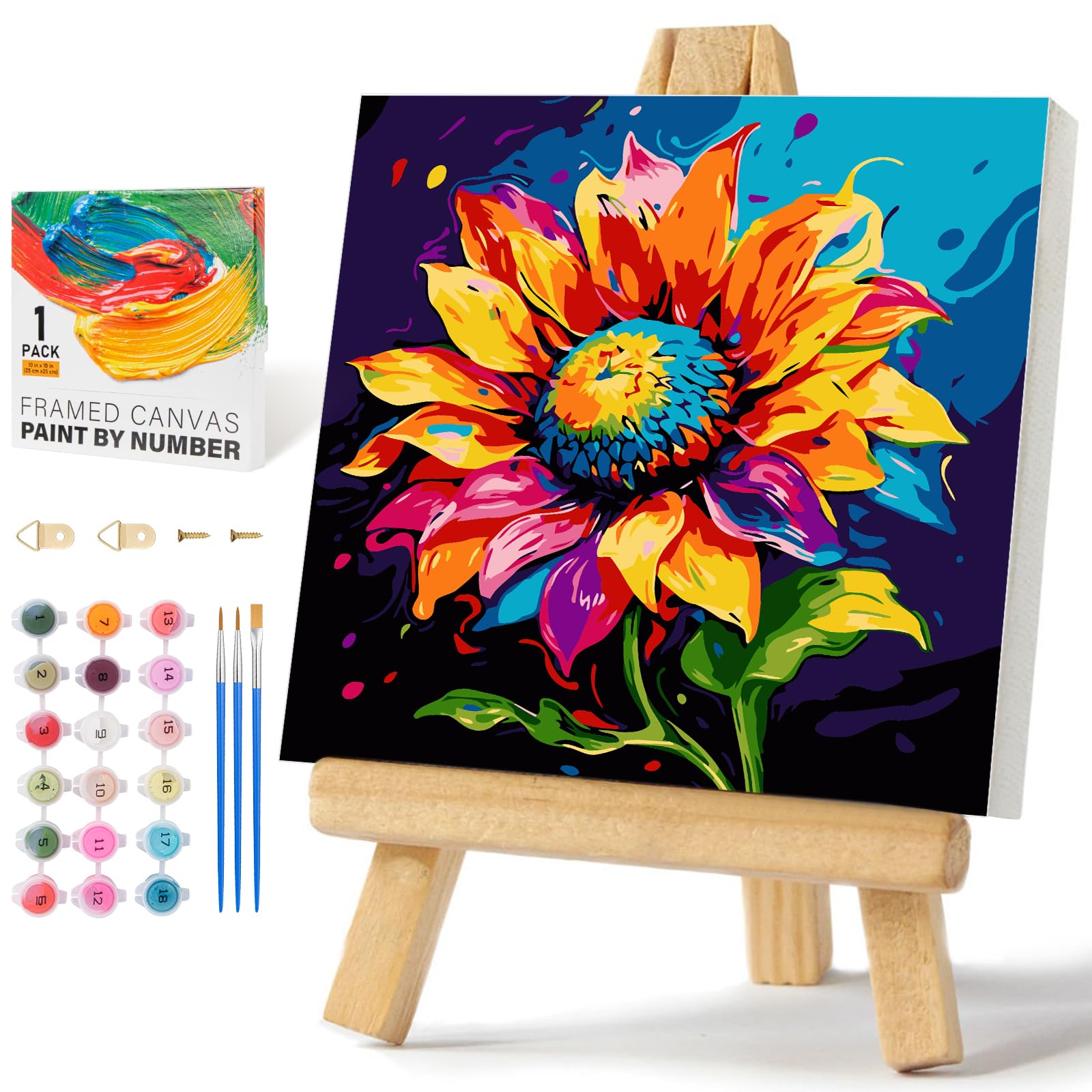 Amazon.com: Framed Paint by Numbers Kit for Adults Beginners & Kids ...