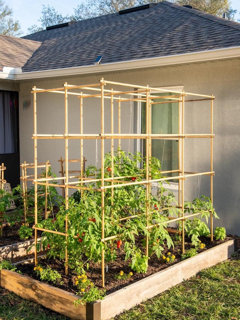 Amazon.com : Gardener's Supply Company Bamboo Tomato Cages | 40" Tall ...