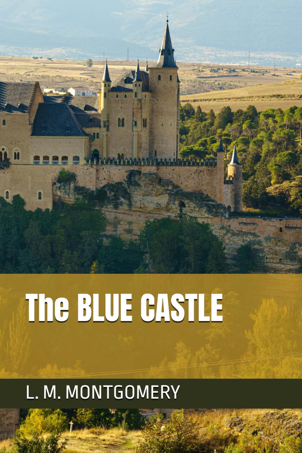The BLUE CASTLE: MONTGOMERY, L. M.: 9798324470081: Amazon.com: Books