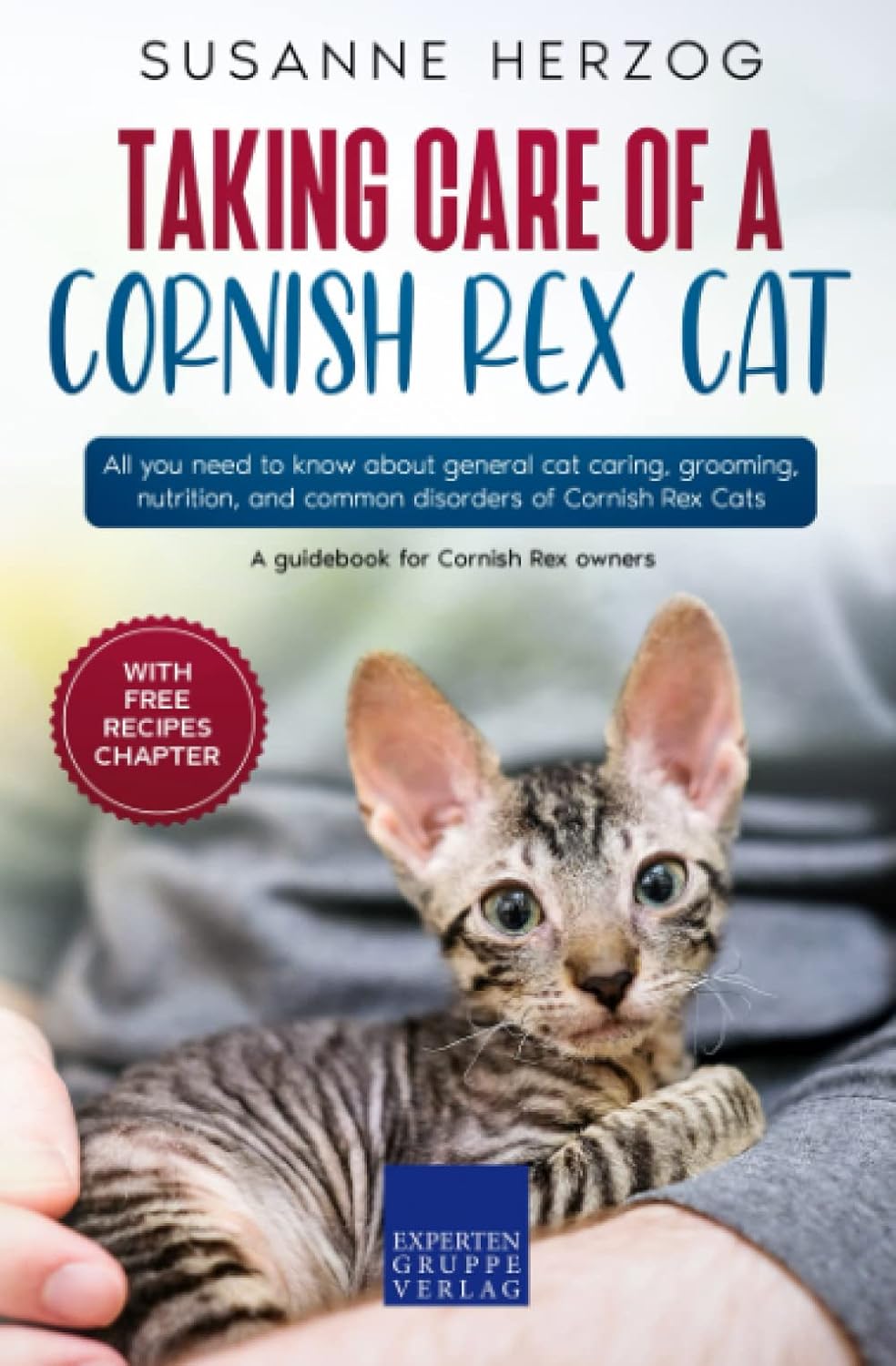 Taking care of a Cornish Rex Cat: All you need to know about general ...