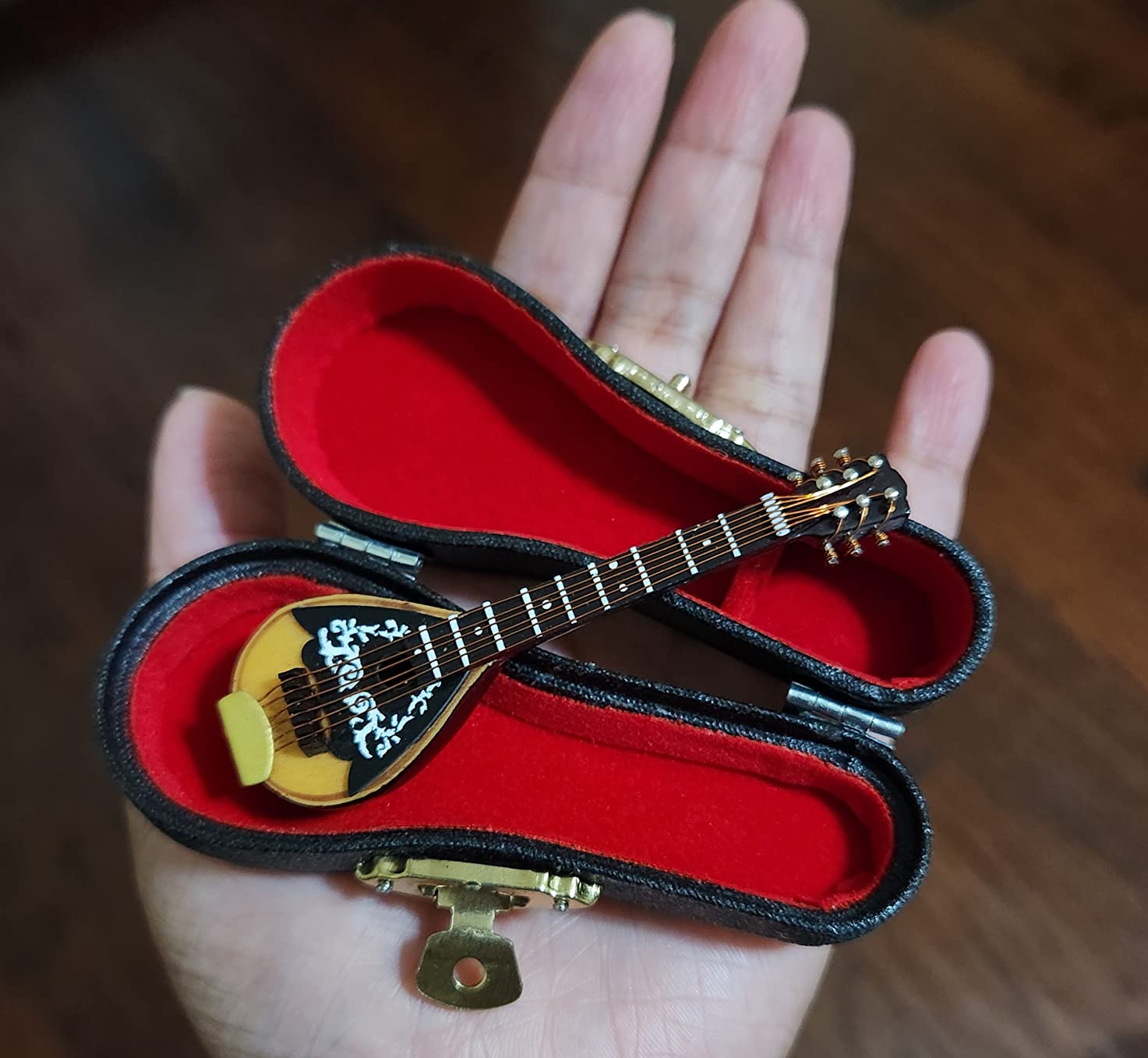 Amazon.com: Miniature Ornamental Mandolin in Black Vinyl Case 1/12th ...