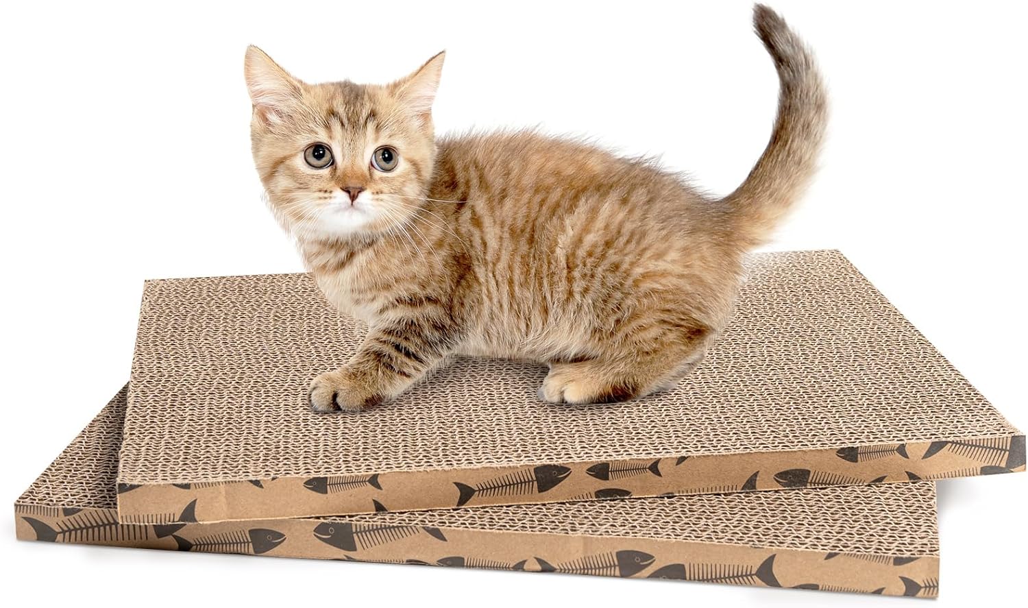 Amazon.com : SIDAZON Cat Scratching Board Cat Scratcher Cardboard Cat ...