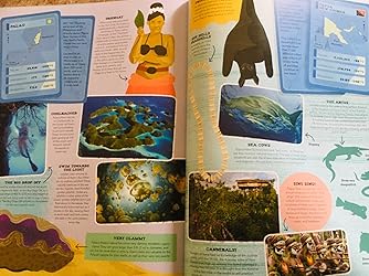 The Travel Book: A journey through every country in the world (Lonely ...