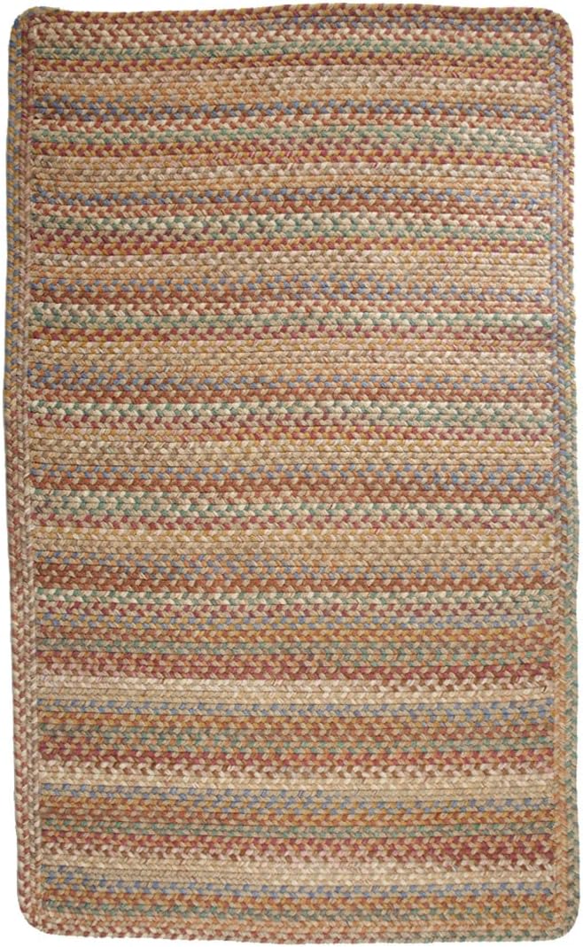 Amazon.com: Plow & Hearth Blue Ridge Braided Rug | Multi Beige ...