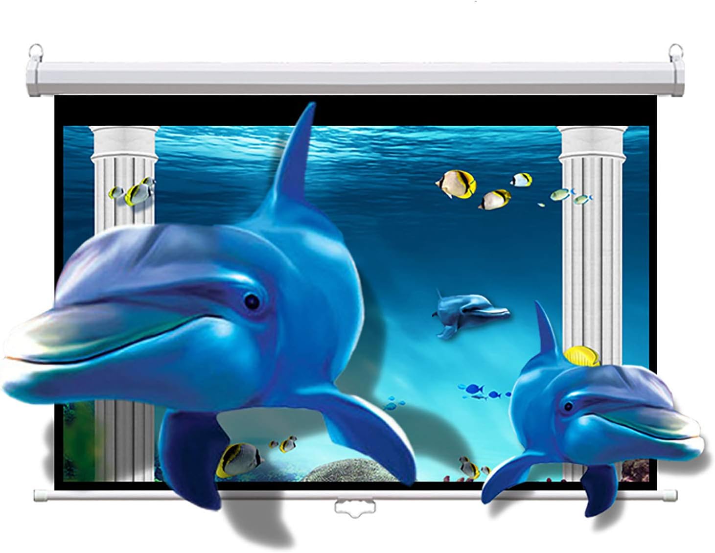 Projector Screen,4:3/16:9 Pull Down Projection Manual Projector Screen ...