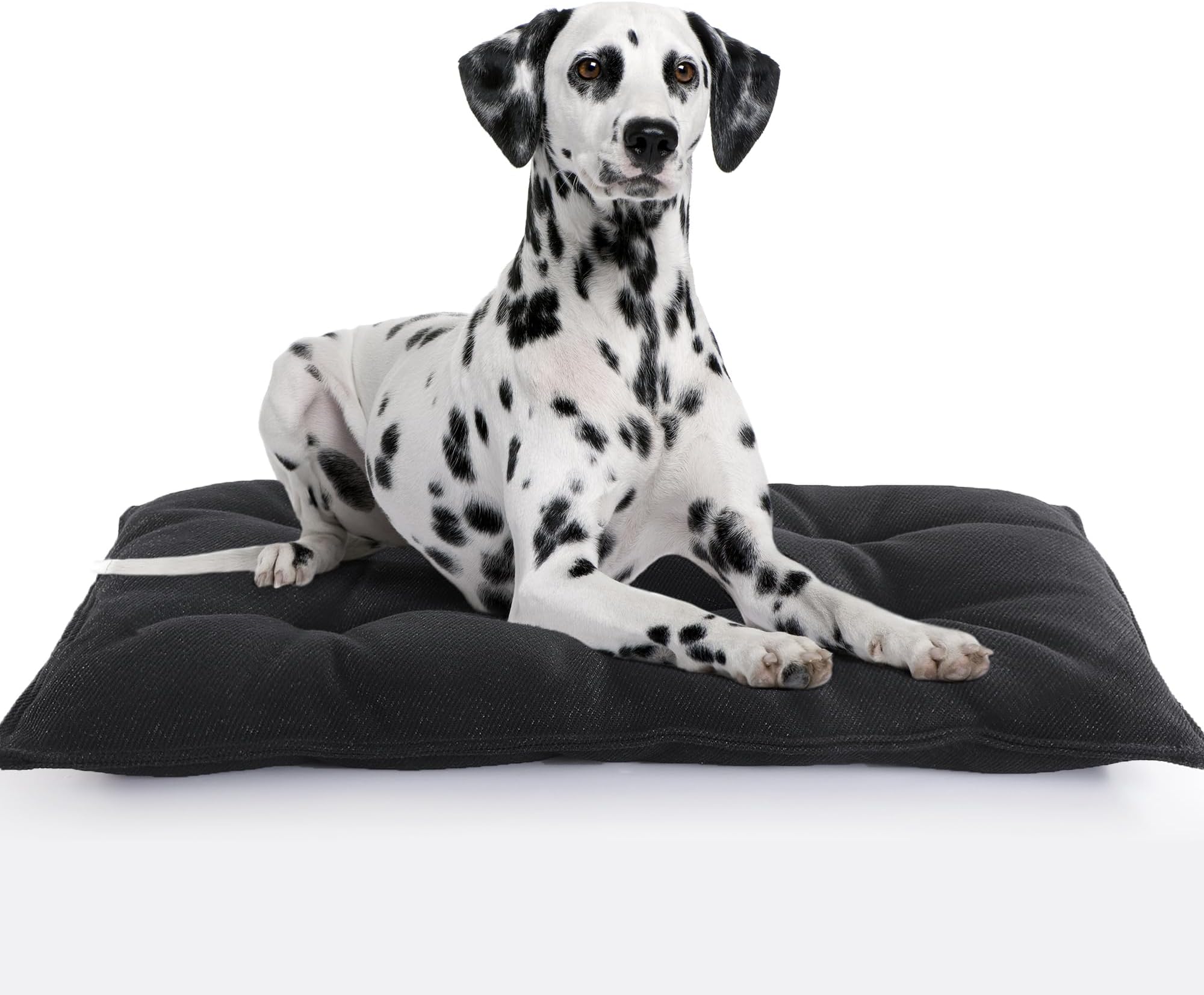 Amazon.com : BALAPET Chew Proof Dog Bed for Medium Dogs, Stable Kennel ...