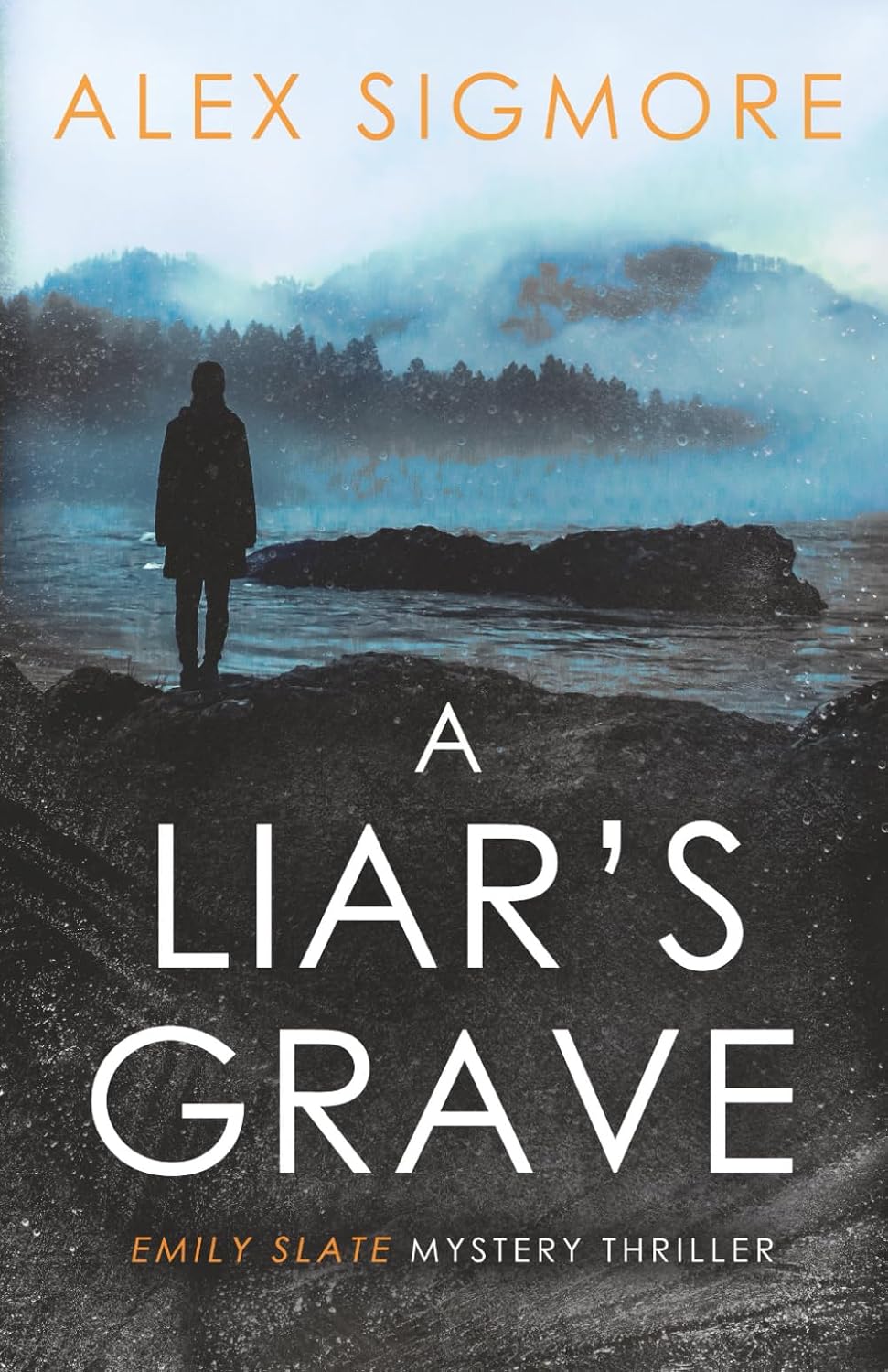 Amazon.com: A Liar's Grave (Emily Slate FBI Mystery Thriller ...