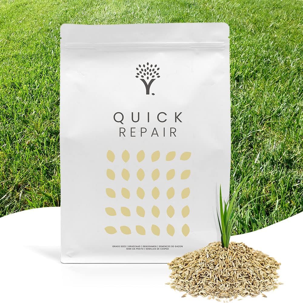 MOOWY Quick Repair Grass Seed | Fast Growing Lawn Patch Repair Seeds ...