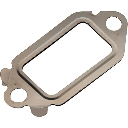 Amazon.com: GM Genuine Parts 219-622 Exhaust Gas Recirculation (EGR ...