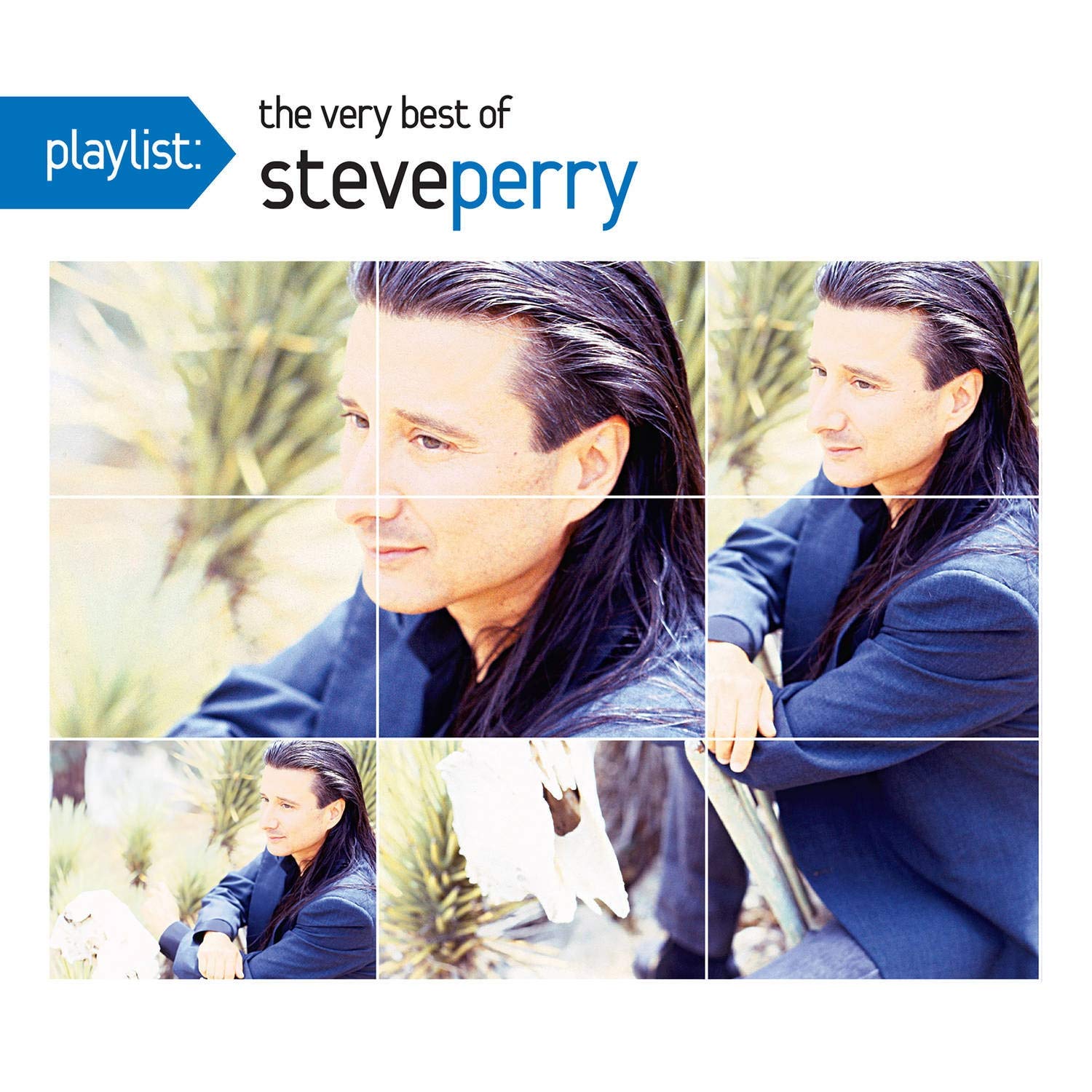 Playlist: The Very Best Of Steve Perry: Amazon.de: Musik-CDs & Vinyl