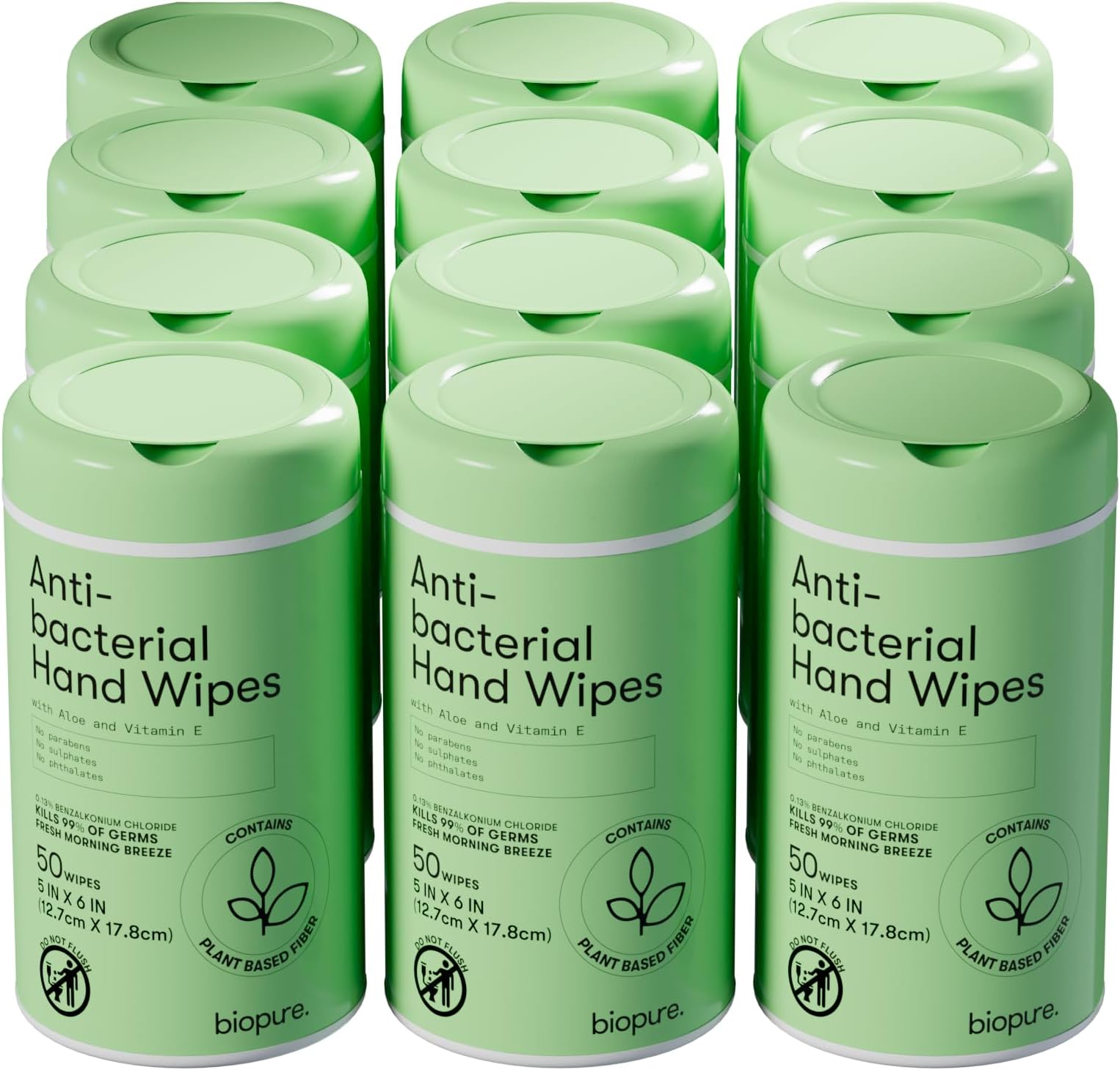 Amazon.com: Biopure Antibacterial Hand Wipes Fresh Morning Breeze ...