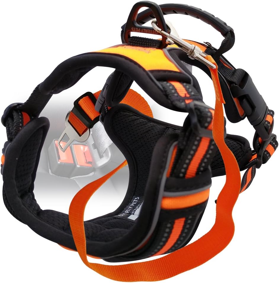 Amazon.com : Otterly Pets Dog Harness Sets for Medium to Large Dogs ...