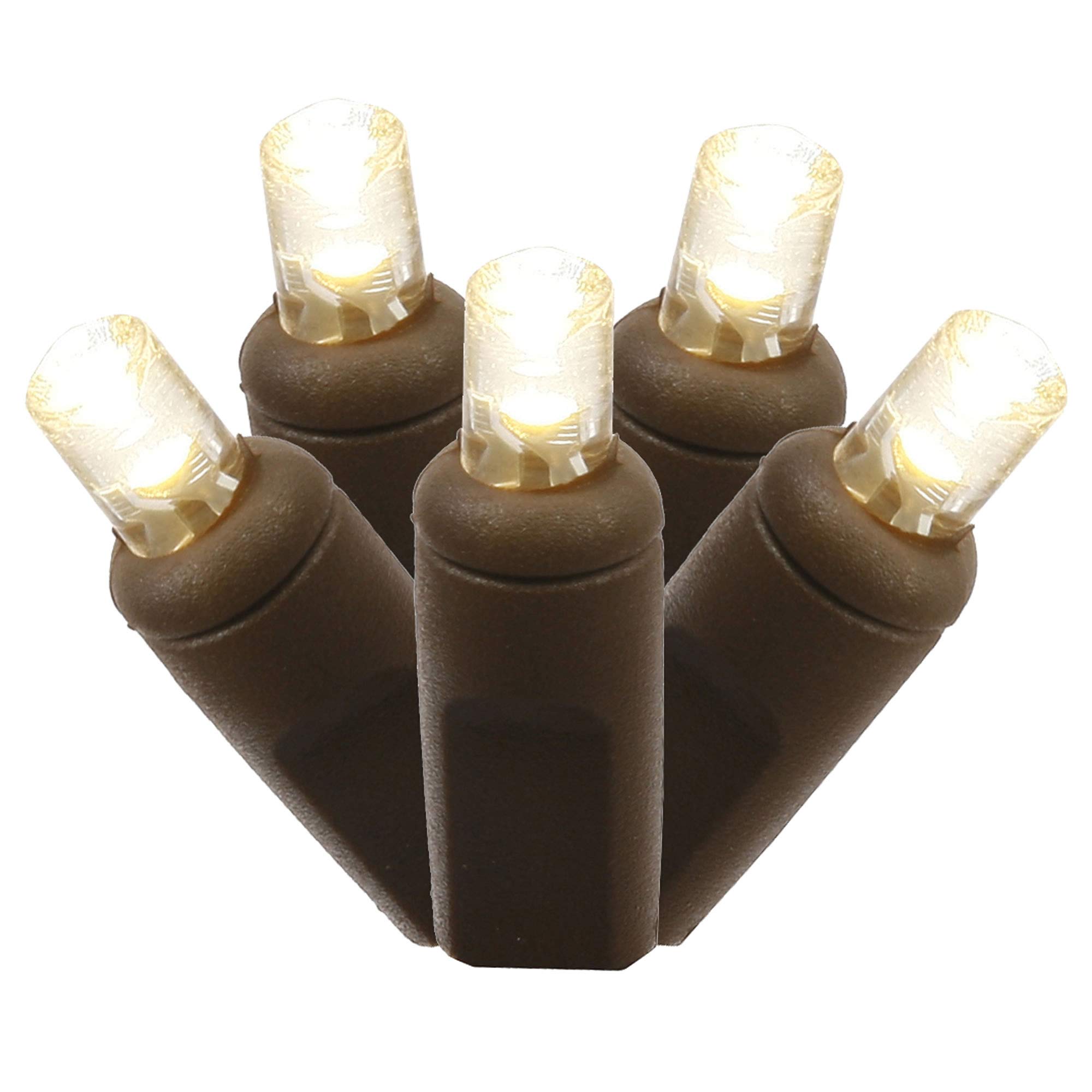 Amazon.com: Vickerman 50 Warm White Twinkle Wide Angle LED Twinkle ...