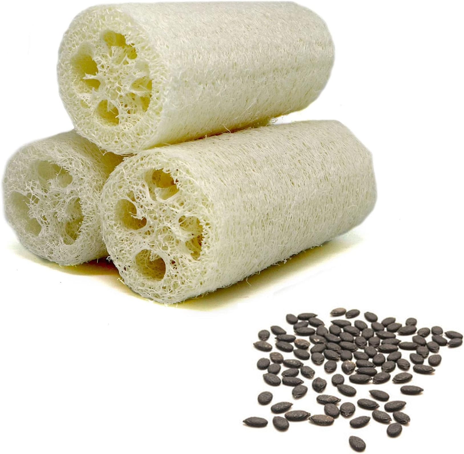 Amazon.com : 20 Luffa Gourd Seeds, Luffa Sponge Seeds, Loofah ...