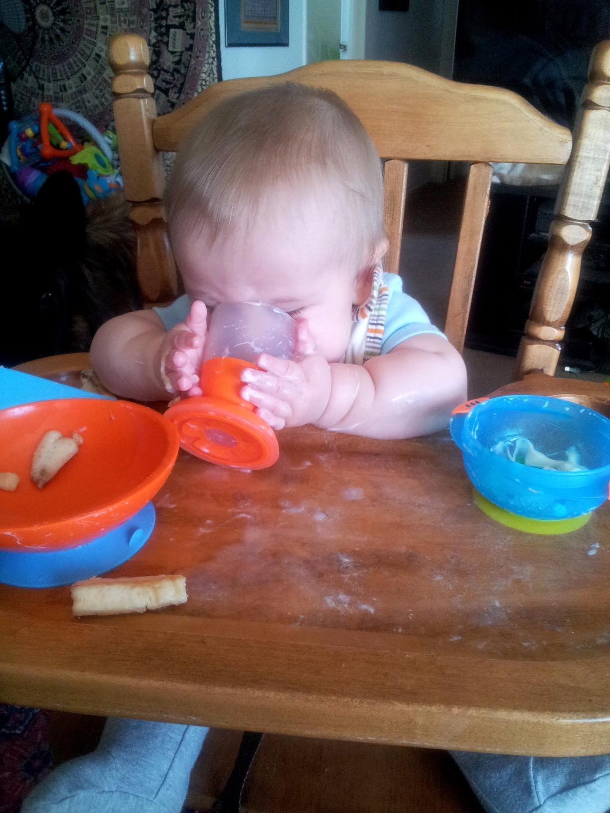 Amazon.com : BABYBJORN Baby Cup - Orange/Turquoise, 2-Count : Baby ...