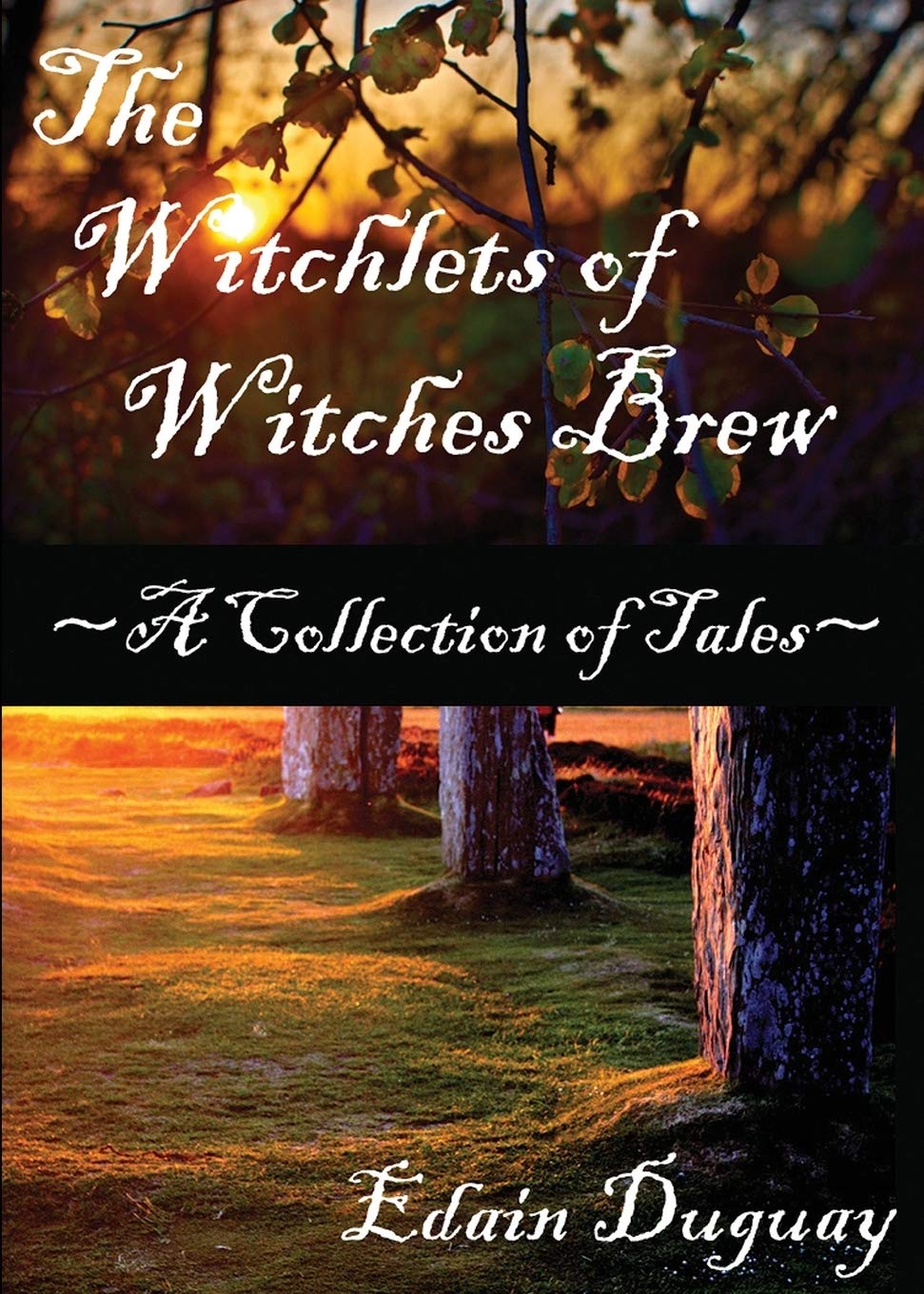 Amazon.com: The Witchlets of Witches Brew: 9780987998088: Duguay, Edain ...