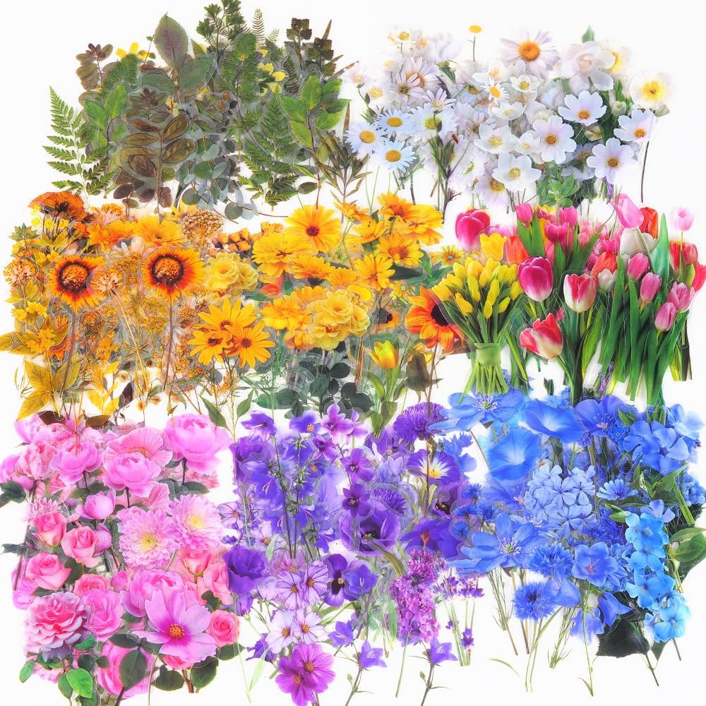 Amazon.com: NESSCCI Pressed Flower Themed Stickers (Assorted 480 Pieces ...