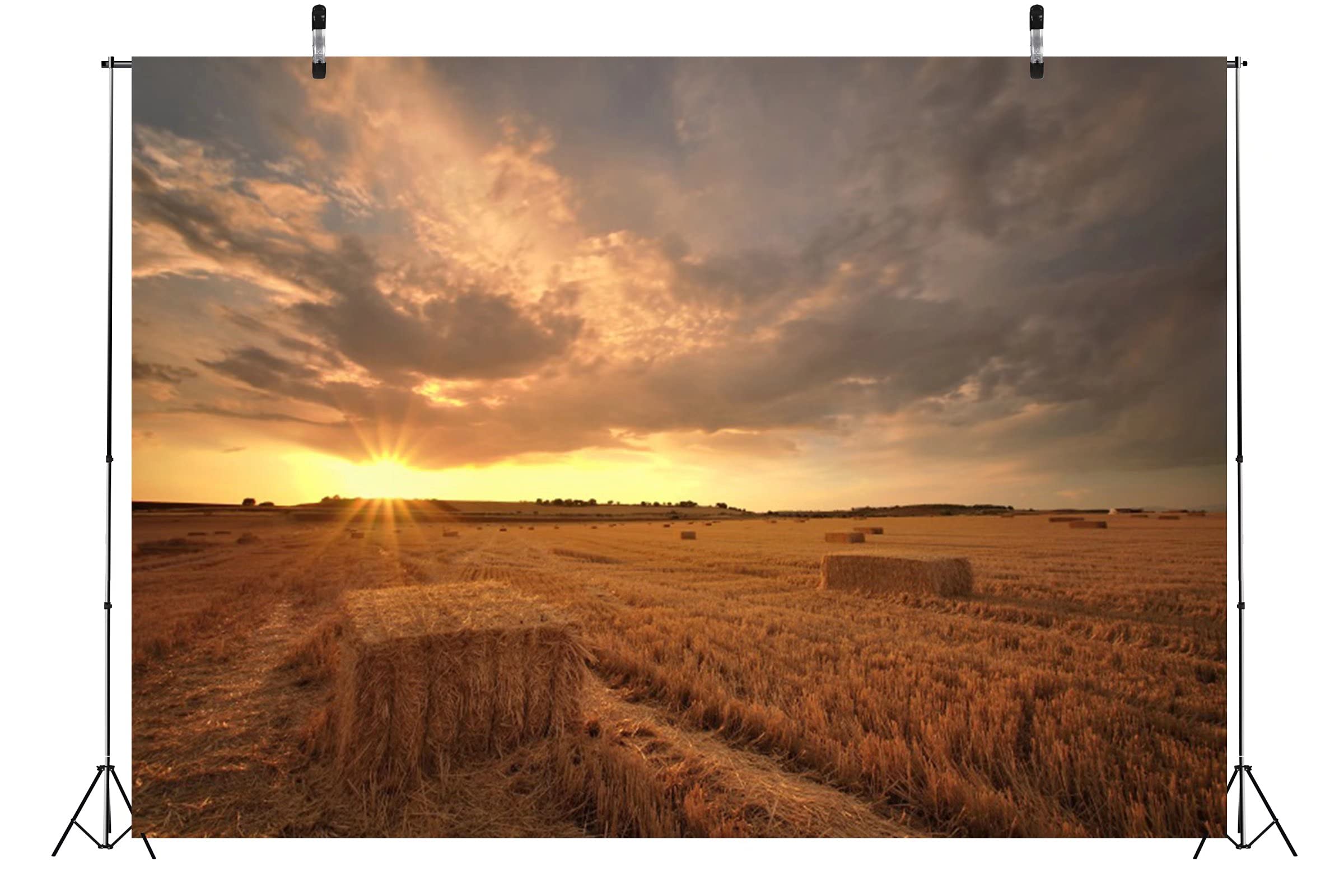 Fields Of Color Harvest Images