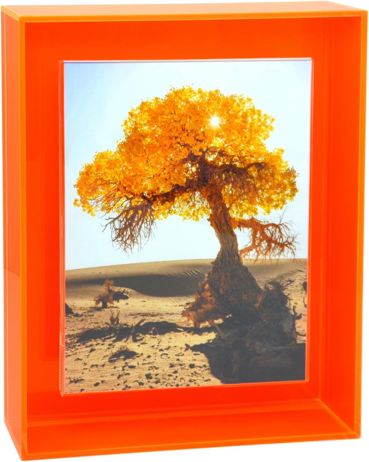 Amazon.com - 2 Pcs 8.5'' × 11'' Acrylic Floating Picture Frame, Neon ...