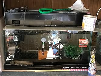 Amazon | GEX AQUA FILTER デュアルクリーンフリー DC-4560 静音水中ポンプ 2段階ろ過 45-60cm水槽用 ...