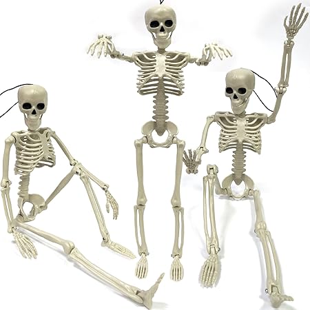 Amazon.com: 4 Packs Posable Halloween Skeleton, Full Body Skeleton ...