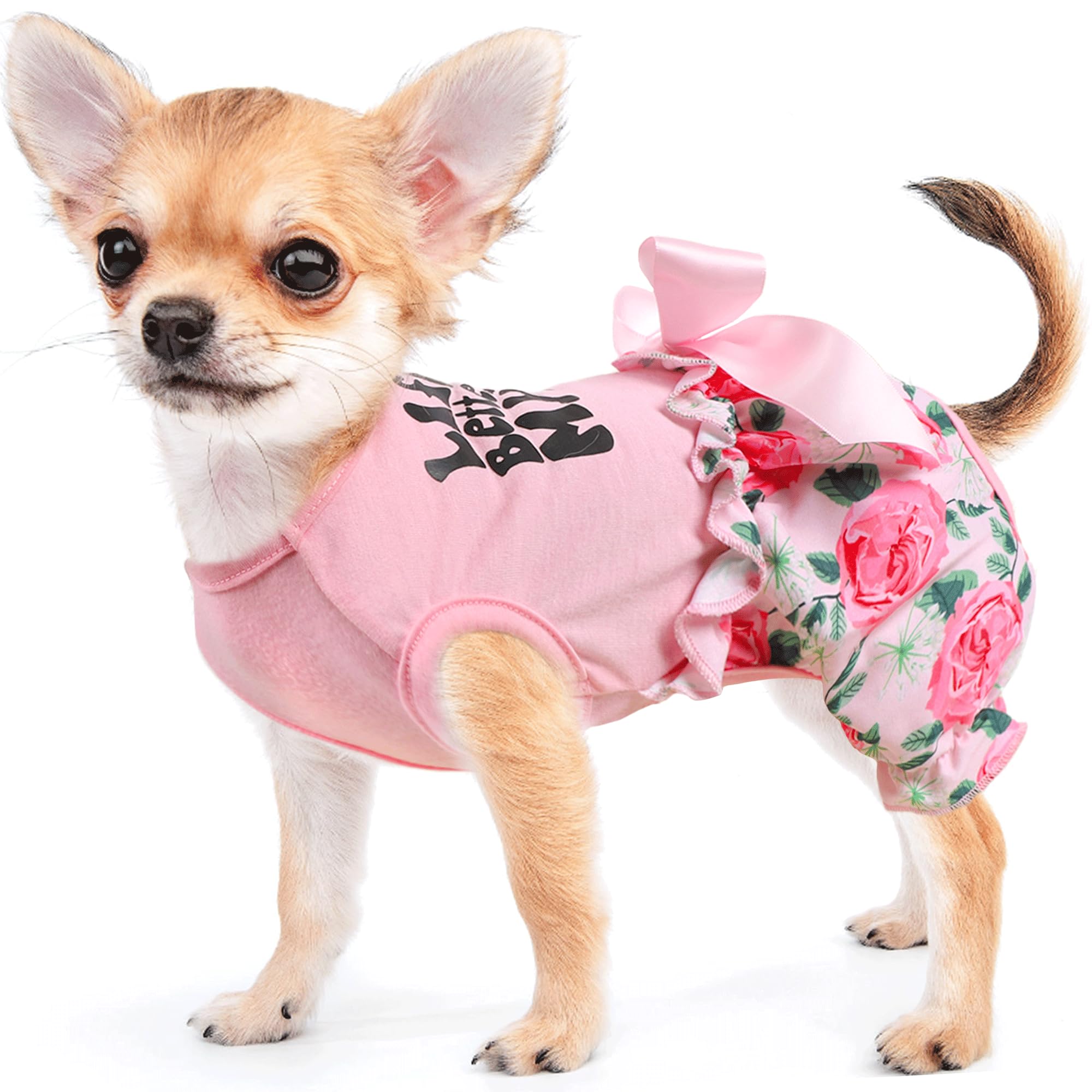 Cute Teacup Yorkie Clothes