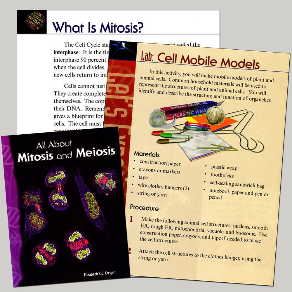 Amazon.com: All About Mitosis and Meiosis: Life Science (Science ...