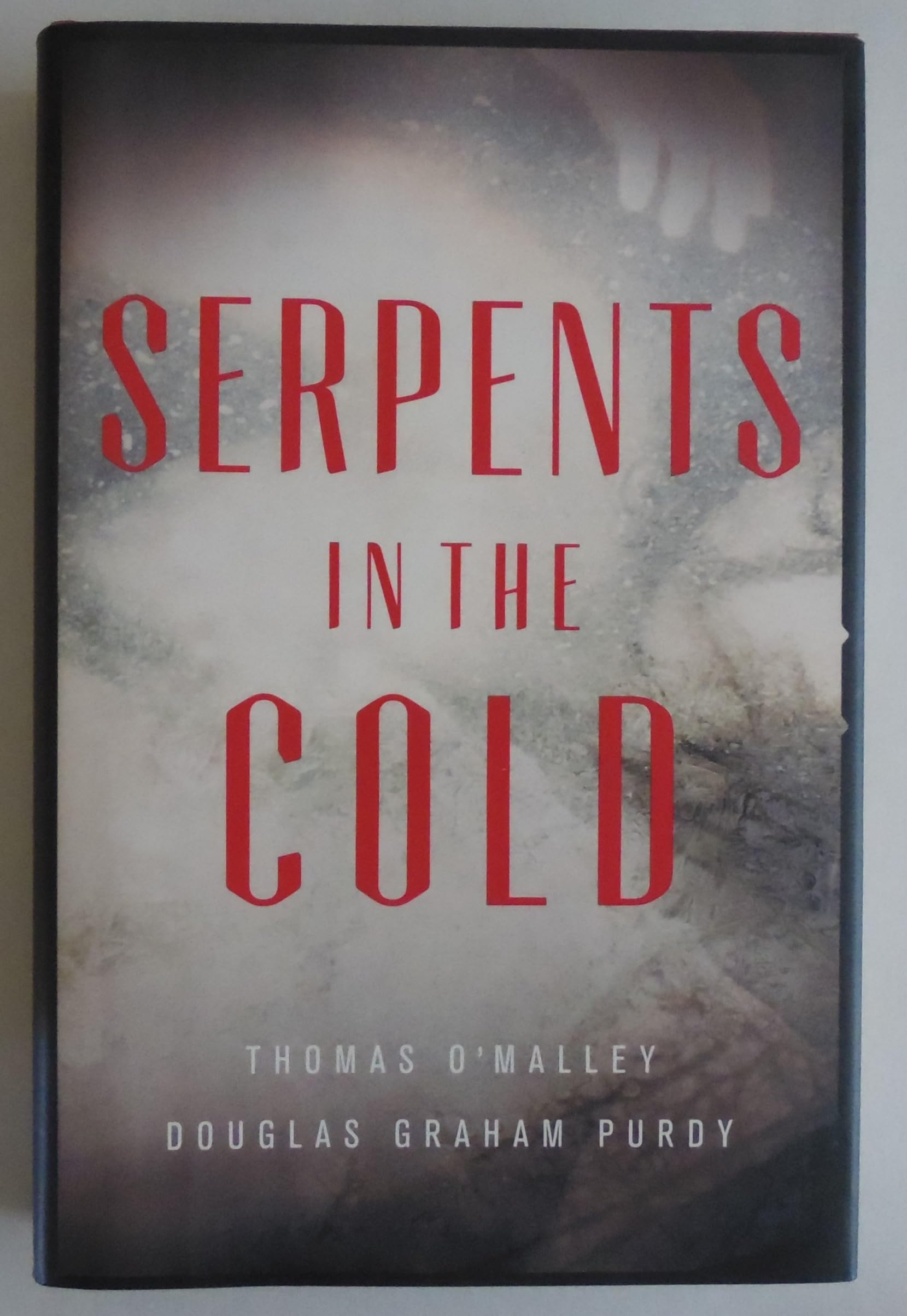 Amazon.com: Serpents in the Cold (The Boston Saga, 1): 9780316323505: O ...