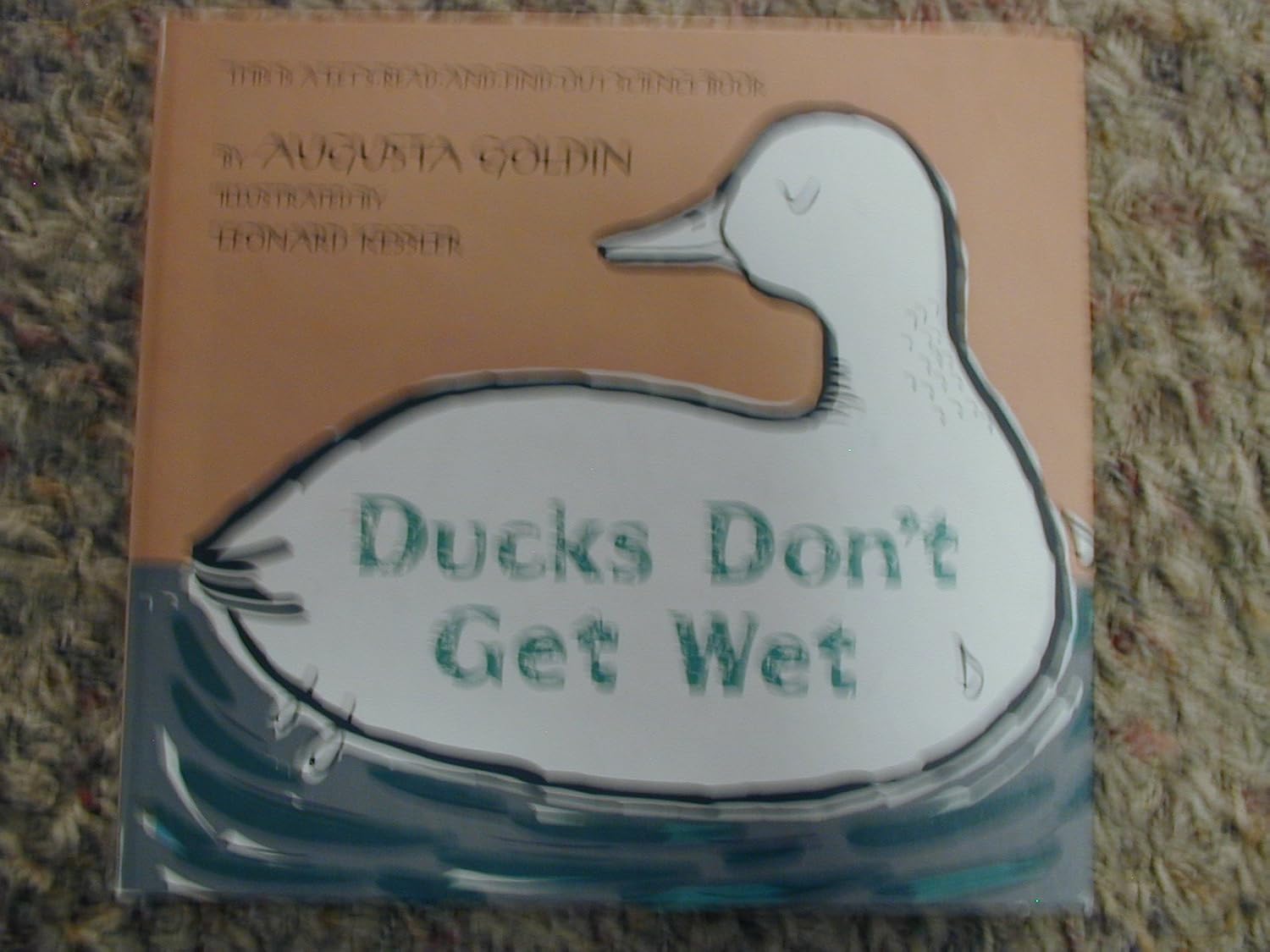 Ducks Don't Get Wet: Augusta R. Goldin, Leonard P. Kessler ...