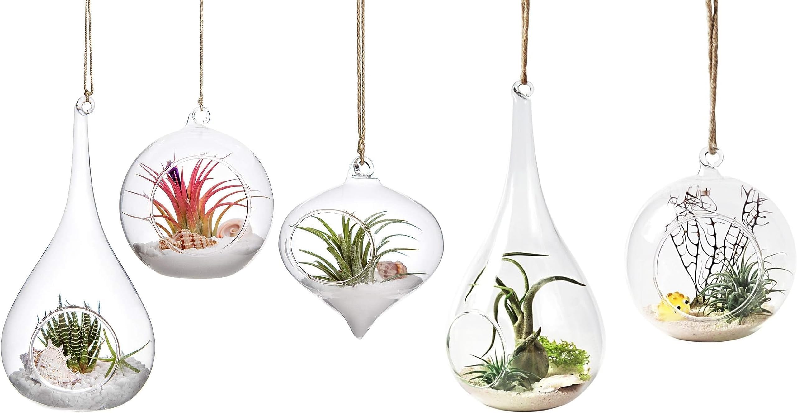 Glass Propagation Vases For Plants Hoemwarm 3 Pack Glass Plant ...