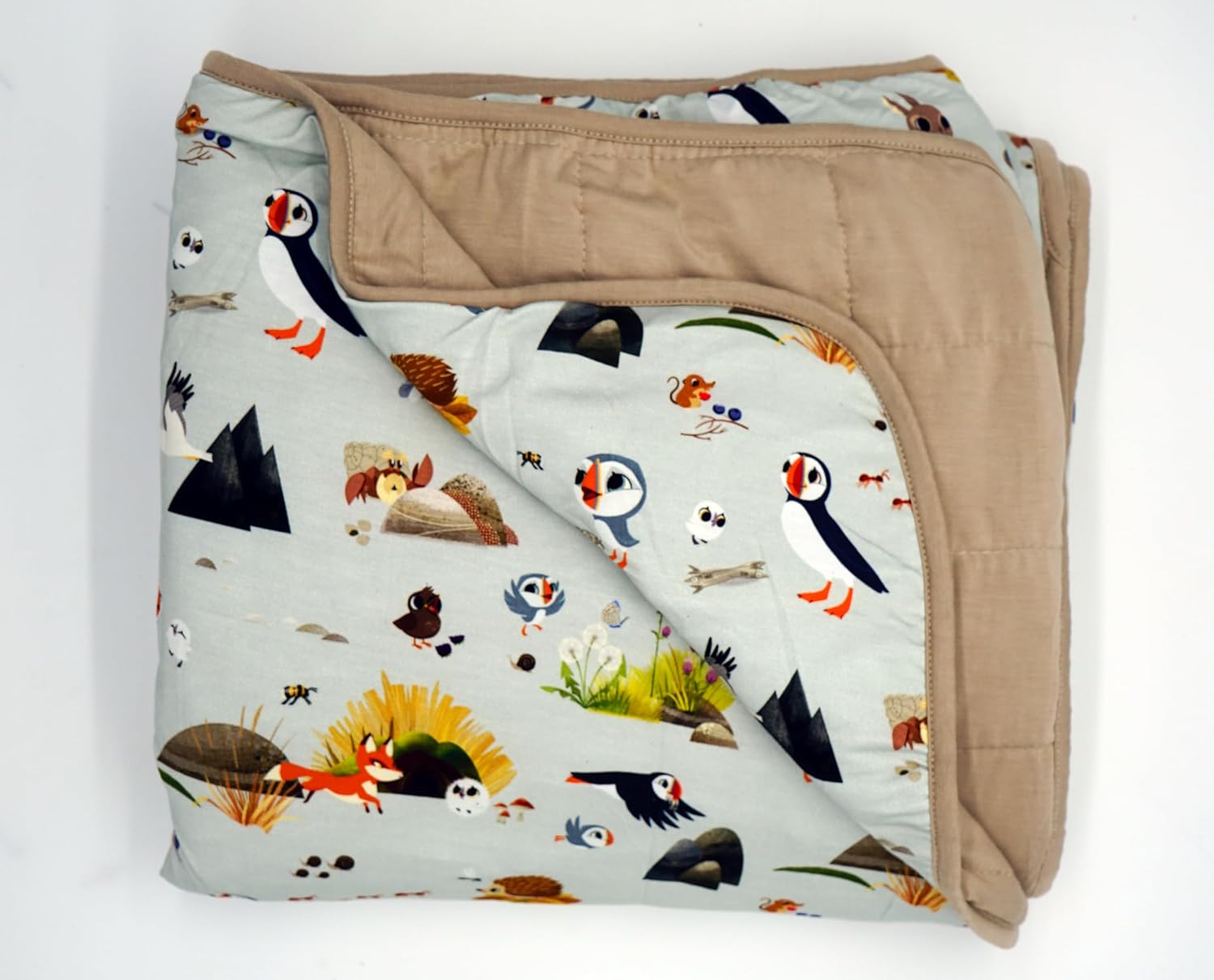 Amazon.com: PUFFIN ROCK Official Merchandise Kids Blanket : Home & Kitchen