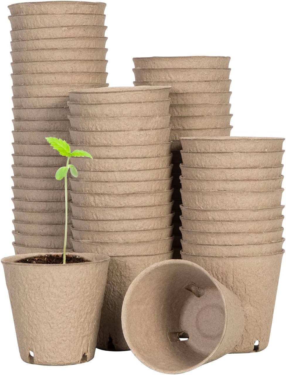 Amazon.com: VIVOSUN Peat Pots, 60 Packs 3.15-Inch Seed Starting Pots ...