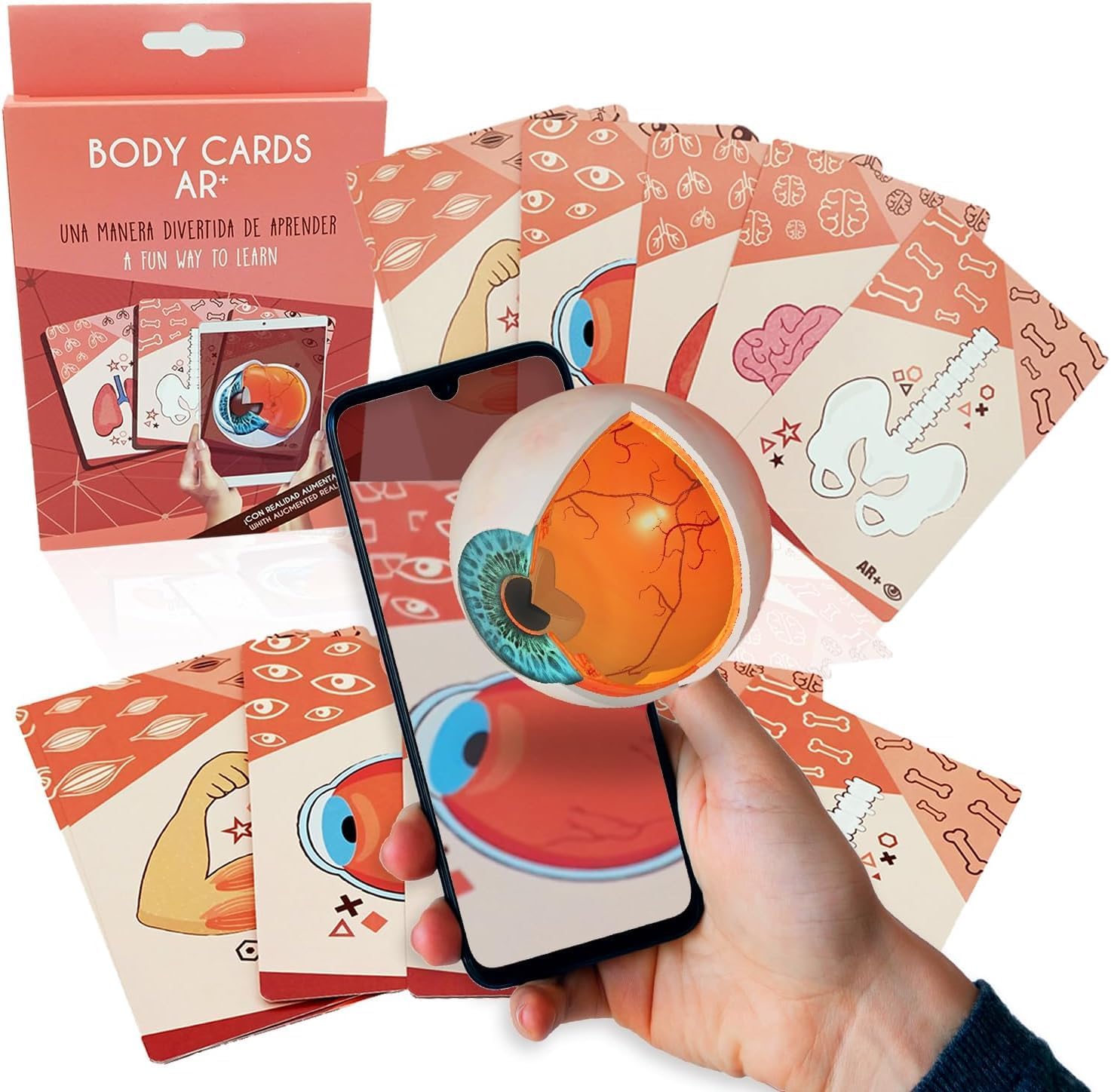 Body Cards, Carte con Realtà Aumentata per Conoscere Il Corpo Umano ...