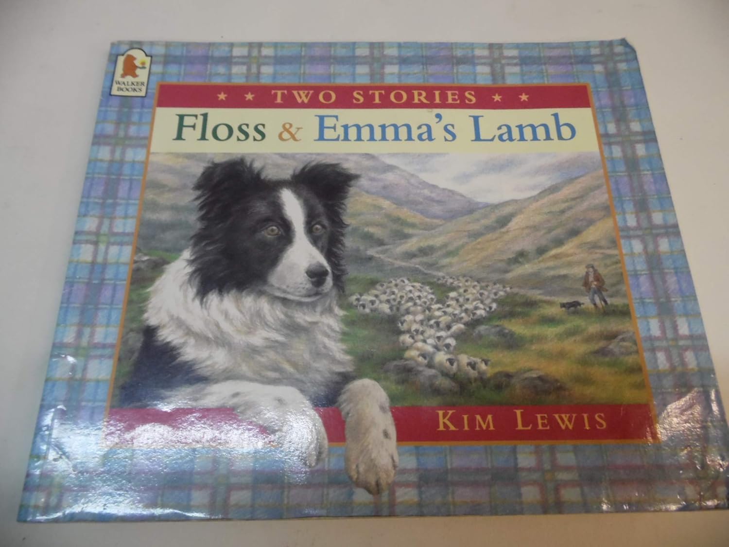 Floss & Emma's Lamb: Amazon.co.uk: Lewis Kim: 9780744563795: Books