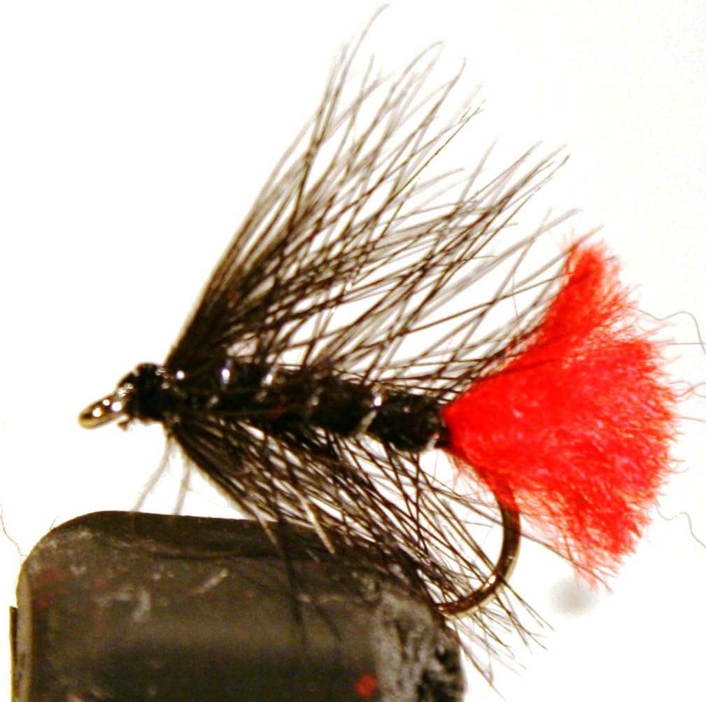 Amazon.com : ICE FLIES. Wet Fly. Black Zulu. For Char, Trout, Sea-trout ...