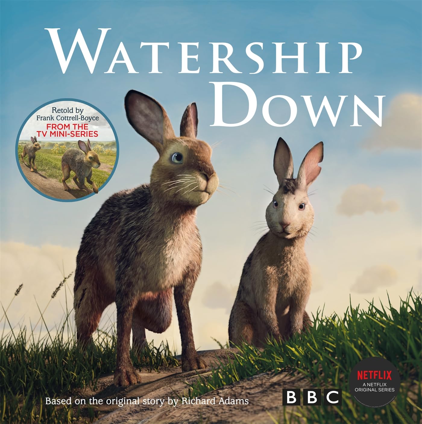 Watership Down: Gift Picture Storybook: Cottrell Boyce, Frank ...