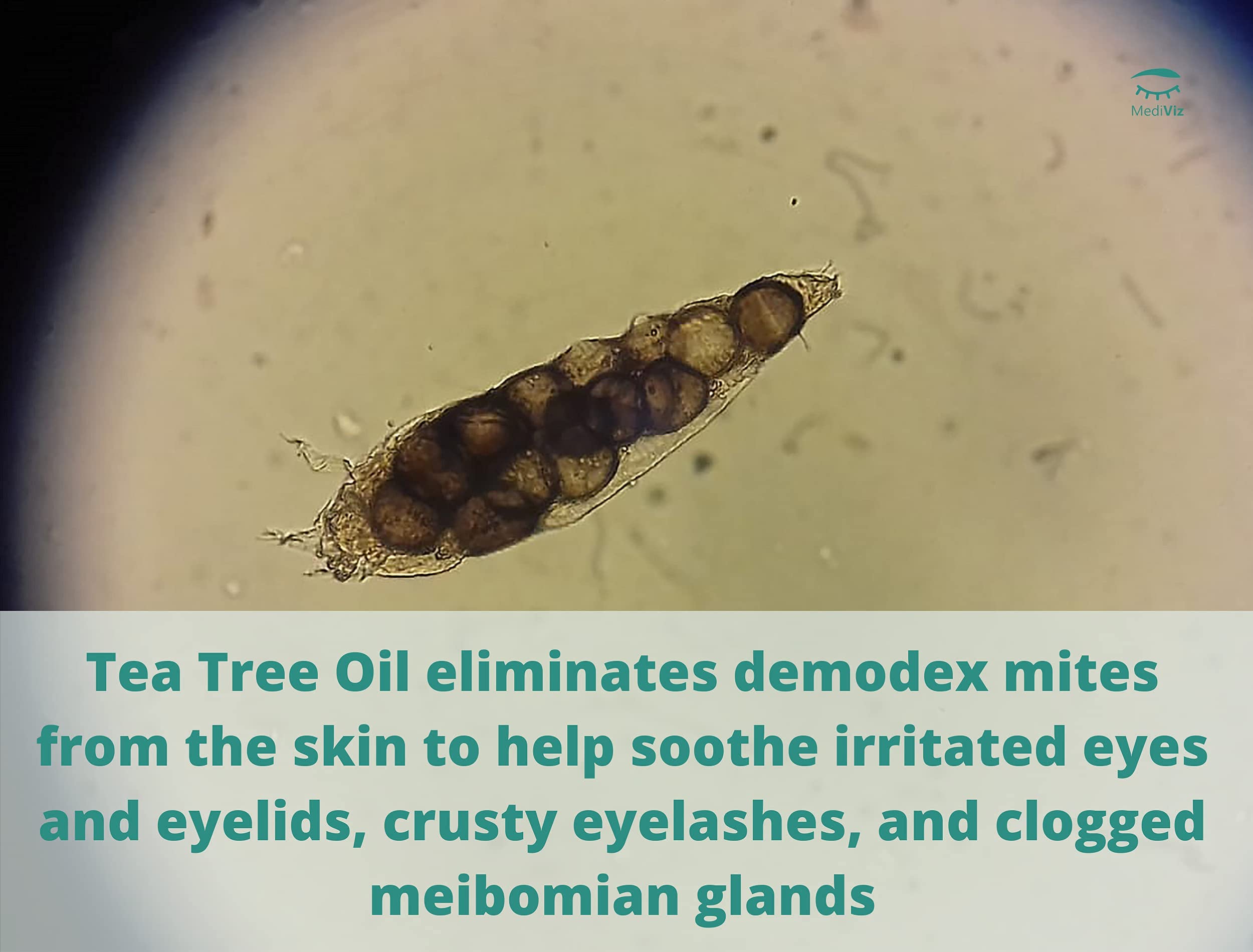 Buy Mediviz Tea Tree Eyelid Wipes - Exfoliating, Purified ...