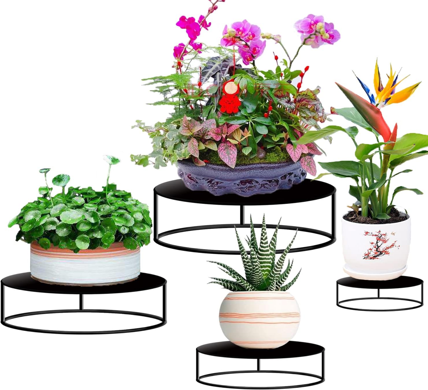 Amazon.com : TenFuju 8" Metal Heavy Duty Potted Plant Stand Flower Pot ...