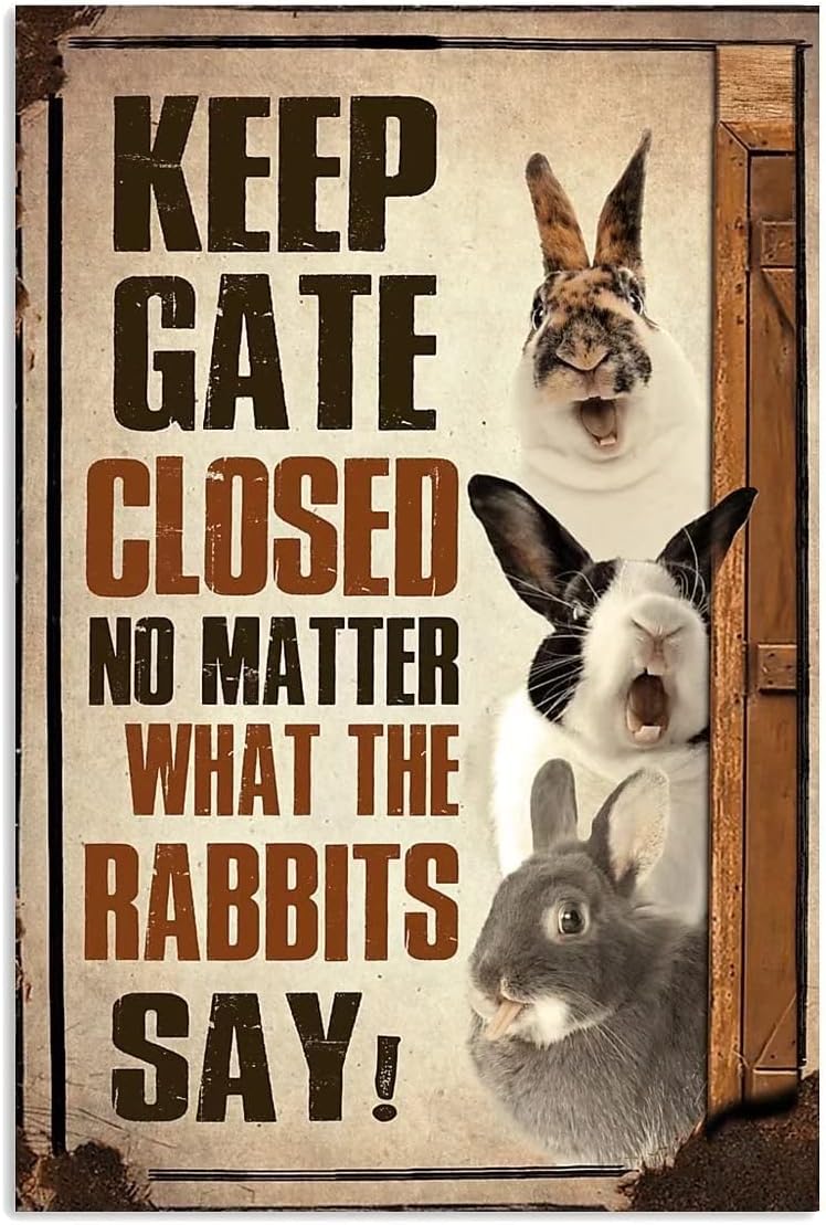 Amazon.com: Geuuki Metal Tin Signs Keep Gate Closed No Matter What The ...