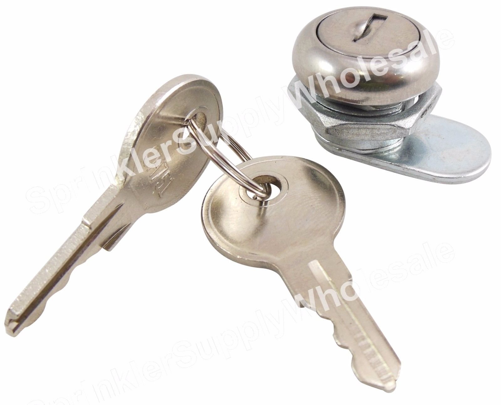 Rain Bird Lock Cylinder and Key Set 651656, Fits ESP ESP4M ESP4Me ESP-M ...