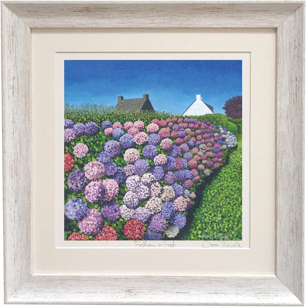 Susan Entwistle Art Hydrangeas in Vannes Signed Edition Print, Framed ...