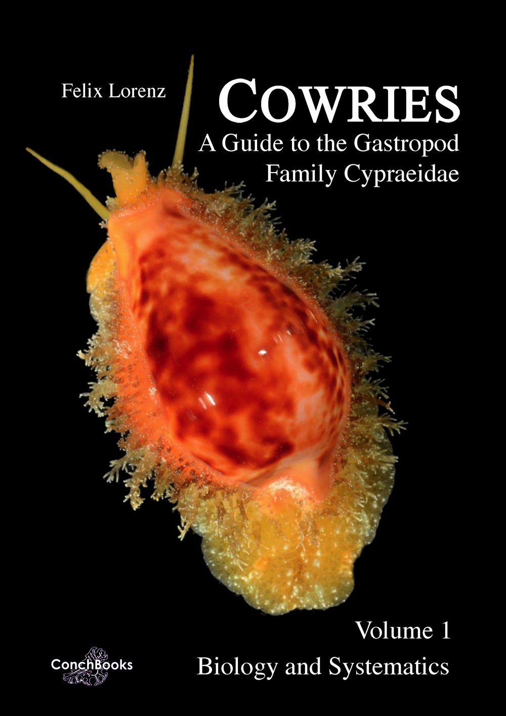 Cowries: A Guide to the Gastropod Family Cypraeidae: Felix Lorenz ...
