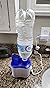 Amazon.com: Bell+Howell Sonic Breathe Water Bottle Humidifier, Easy to ...