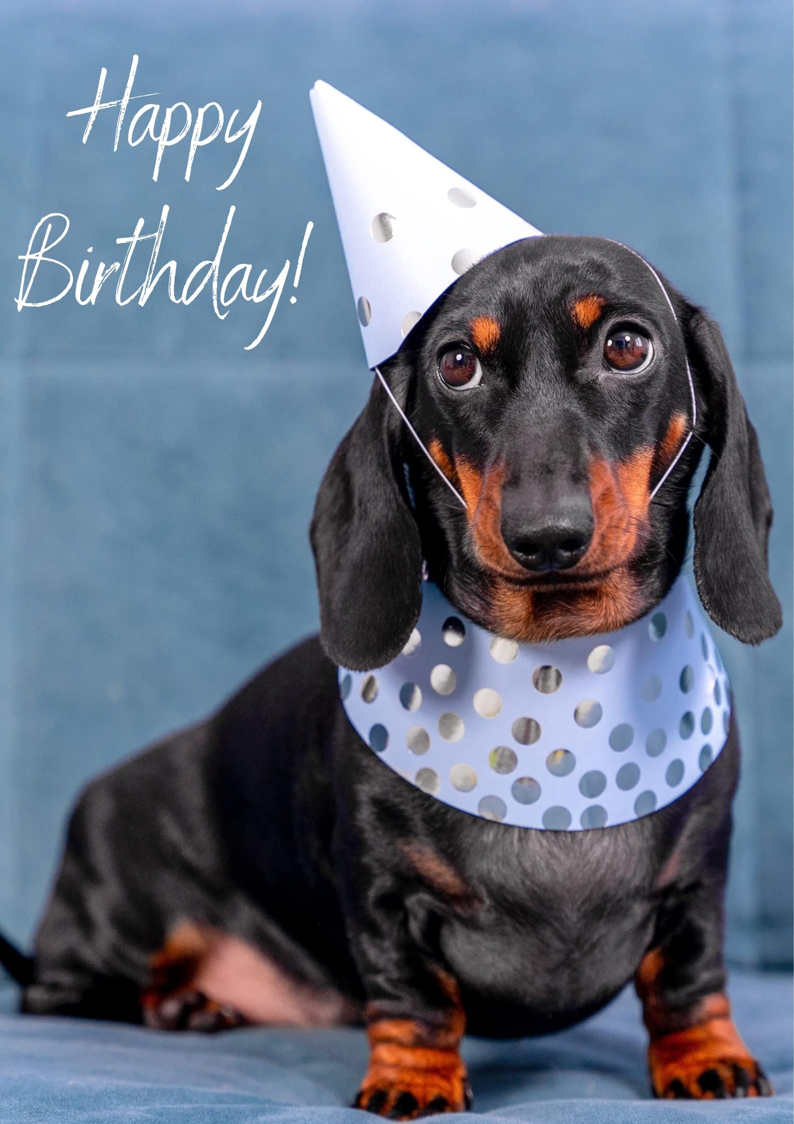Cute Dashing Dachshund Dog Happy Birthday Card – Paper Shed Illustrated ...