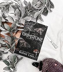 Grimstone (Grimstone, 1): Lark, Sophie: 9781464224140: Amazon.com: Books