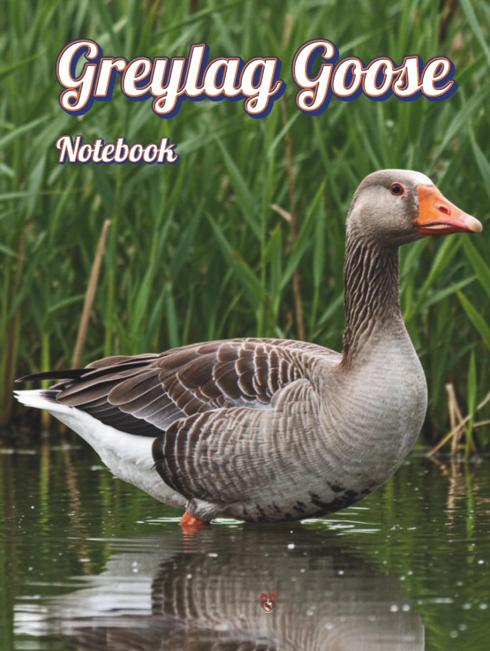 Greylag Goose Notebook: Birds 033/8.5x11/: Kikut, MA Roman: Amazon.co ...