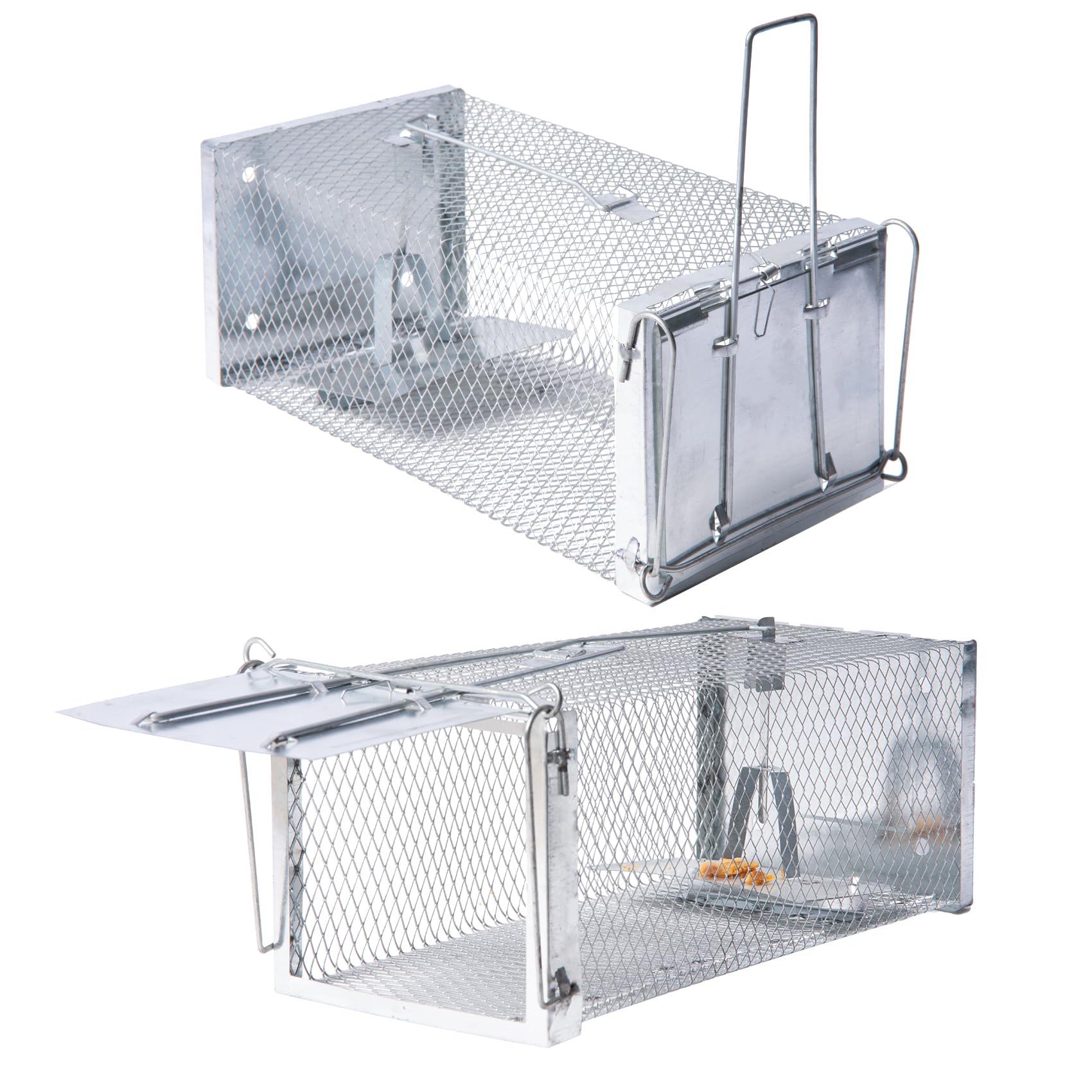 Amazon.com : 2 Pack Humane Trap,Live Animal Traps for Chipmunks and ...