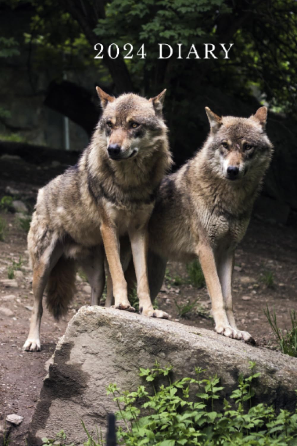 Wolf Diary 2024: Week to view, 6 x 9 inch, Perfect gift for women, men ...