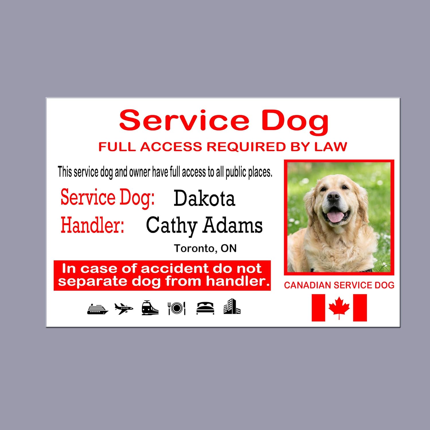How Much Does A Service Dog Cost In The Uk how-much-does-a-service-dog-cost-in-the-uk